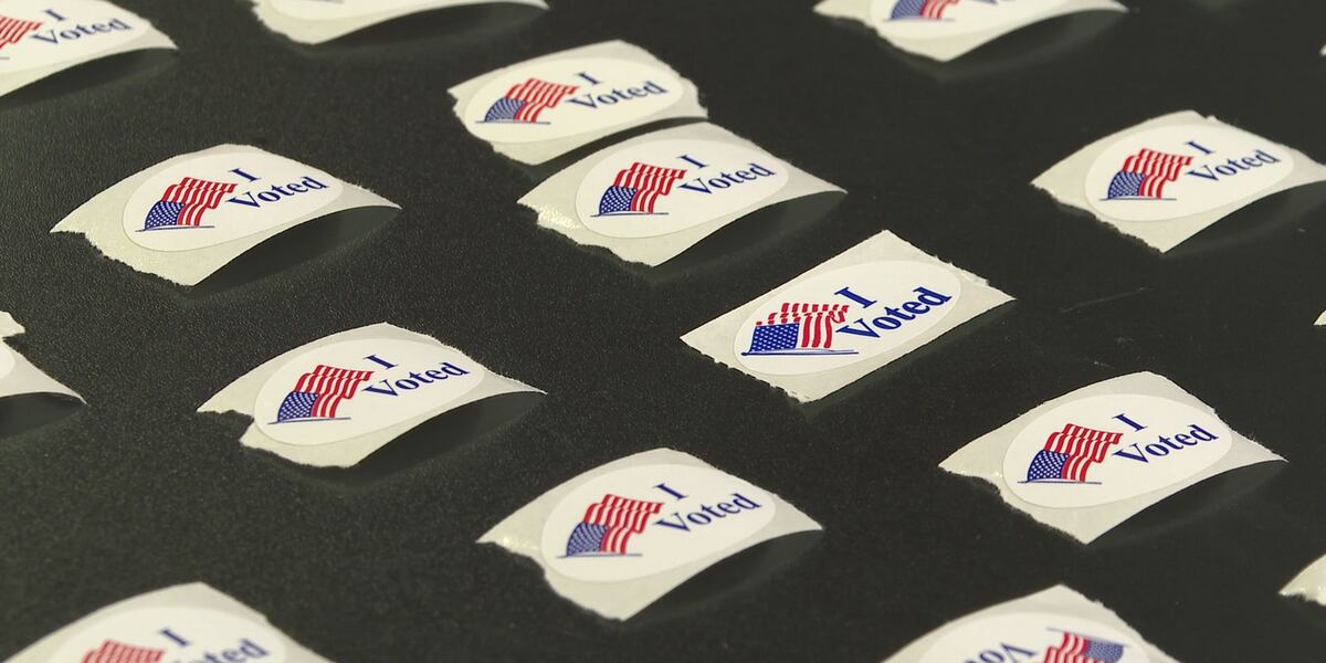 Virginia Court Orders Waynesboro Election Officials Must Certify Results